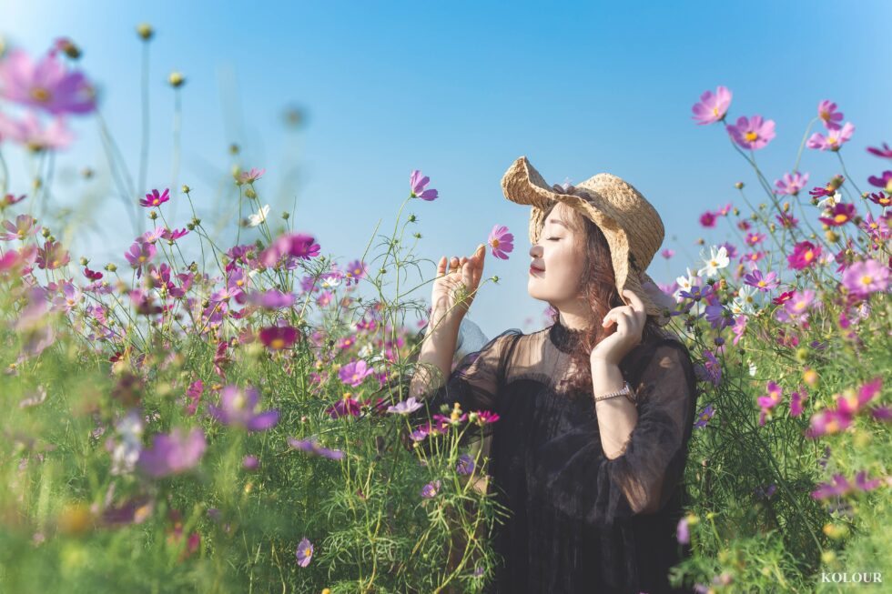 Spring: Renew, Revamp, Refresh