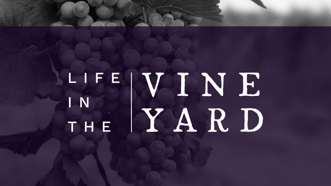 Life in the Vineyard: John 15:8-11 | Grace Community Church